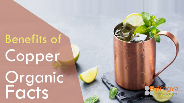 Health Benefits of Copper - Organic Facts : Arogya yoga School