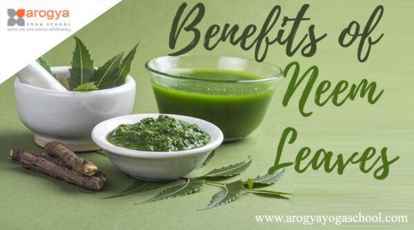 Health Benefits of Neem Leaves - neem leaves benefits