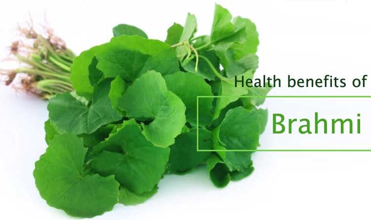 Health benefits of Brahmi - Bacopa monnieri known as Brain Booster.