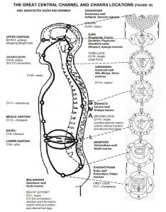 Marma points - 101 marma points and Marma therapy benefits