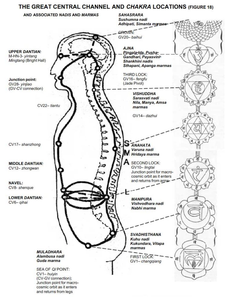 Marma points - 101 marma points and Marma therapy benefits