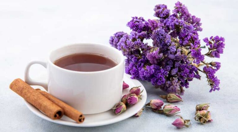 Buransh Flower (Rhododendron arboreum) and Its Benefits