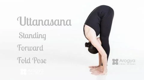 uttanasana steps
