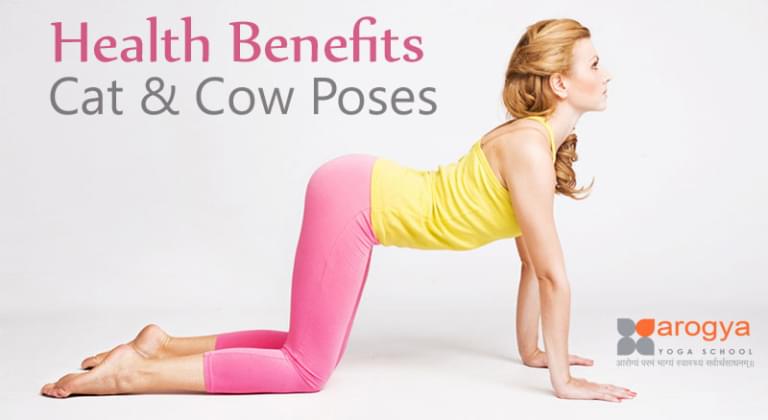 Health Benefits of Cat-Cow Poses - cat cow stretch