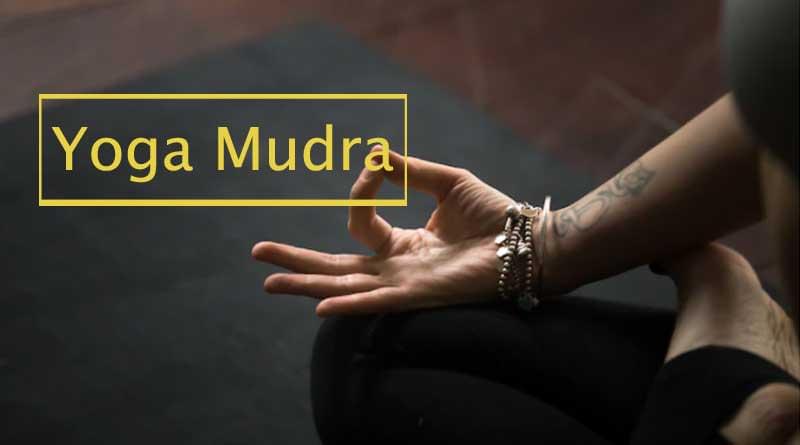 Yoga Mudra Asana (psychic union pose)